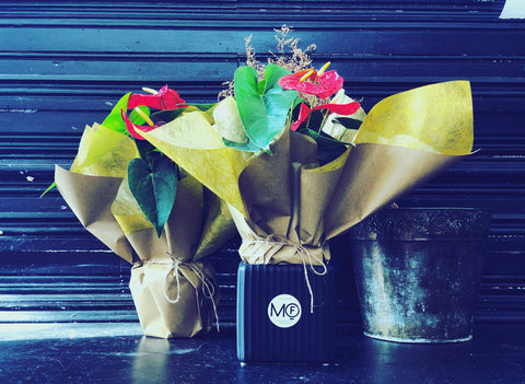 Candle Gift Sets | Matan Florist